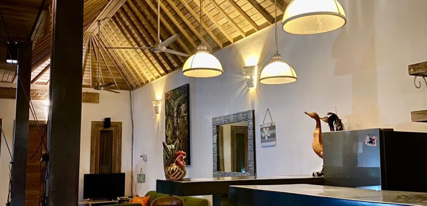 Unique 3-bedroom Long Term Rental Villa Myra in Seminyak